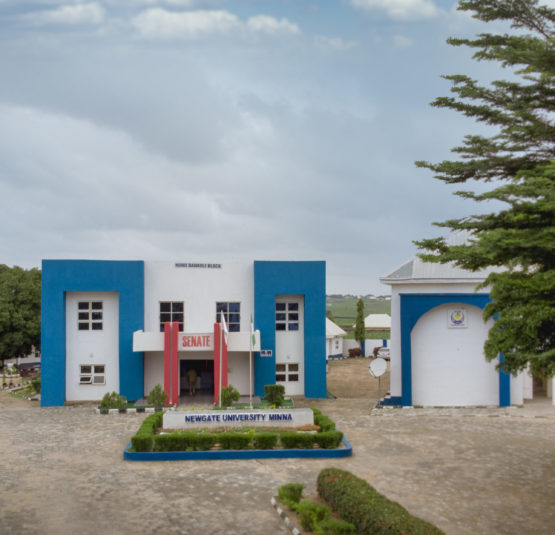 About Us - Newgate University Minna (NUM)